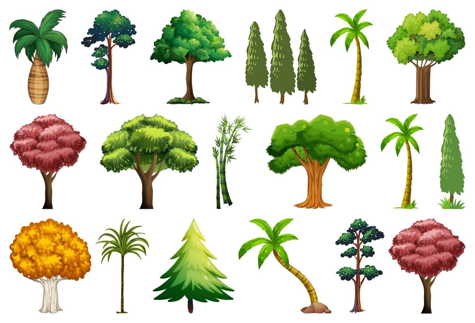 Trees in Arabic: Names, Types & Middle Eastern Species